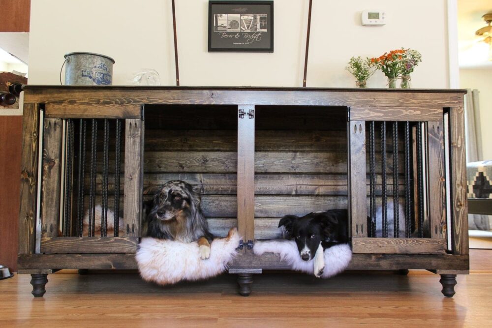 Seu melhor amigo também merece um lugar: conheça a decoração pet | Dog Vibe